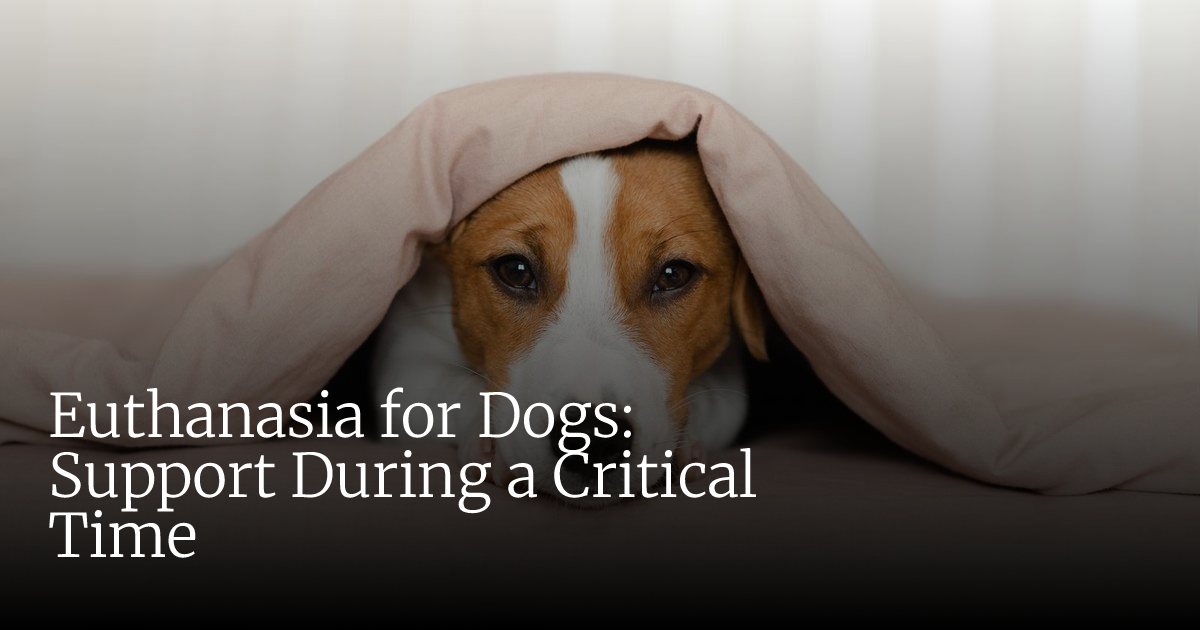 Euthanasia for Dogs: Urgent Guidance for Compassionate End-of-Life Care