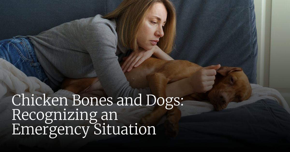Chicken Bones and Dogs: Emergency Steps and Warning Signs