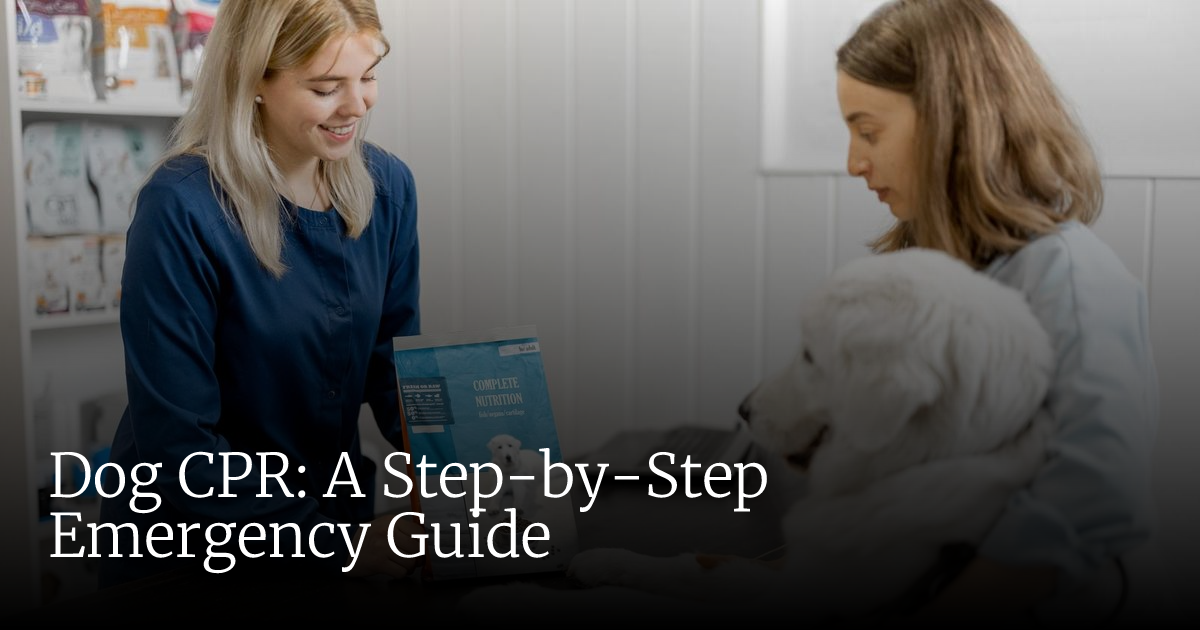 Dog CPR: A Step-by-Step Emergency Guide to Help Save Your Pet