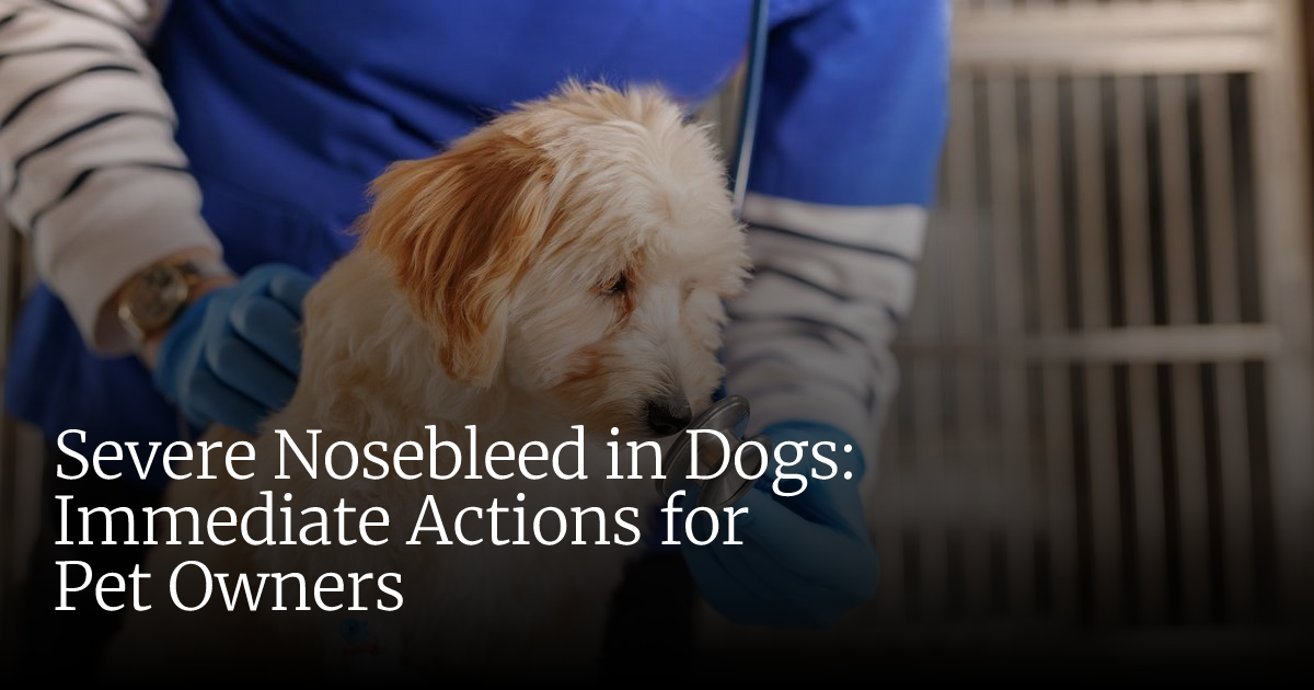 Severe Nosebleed in Dogs: Urgent Steps and When to Seek Help
