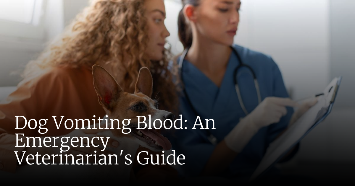 Dog Vomiting Blood: How to Handle This Veterinary Emergency